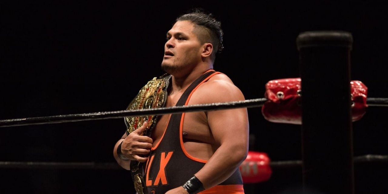 The 5 Best (& 5 Worst) ROH Television Champions