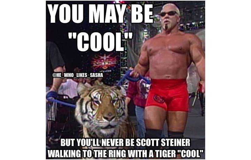 Steiner Math: 10 Funniest Scott Steiner Memes That Will Leave You Cry ...