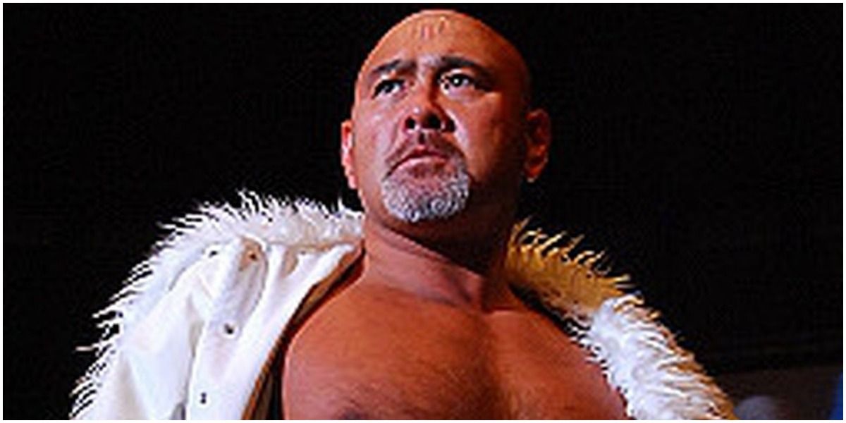 nWo: The 10 Most Successful Members, Ranked By Title Wins