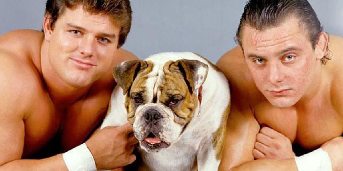 10 Best Wrestlers To Use The Tombstone, Ranked