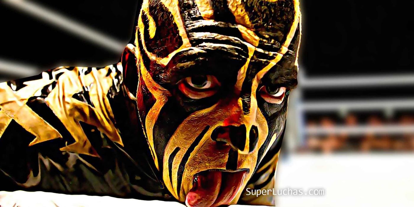 12 Wrestlers Who Were Great In Three Different Decades