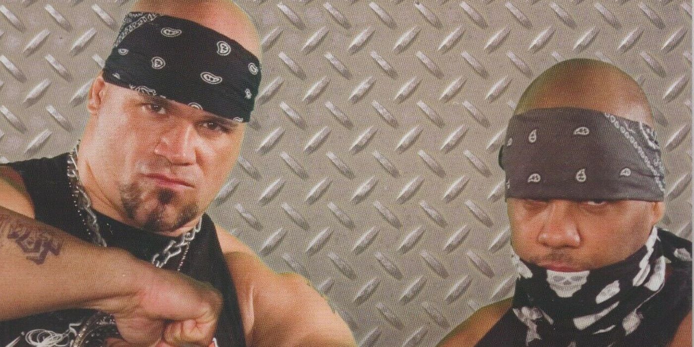 10 Early TNA Stars Who Would've Fit In With ECW Had It Stayed Open