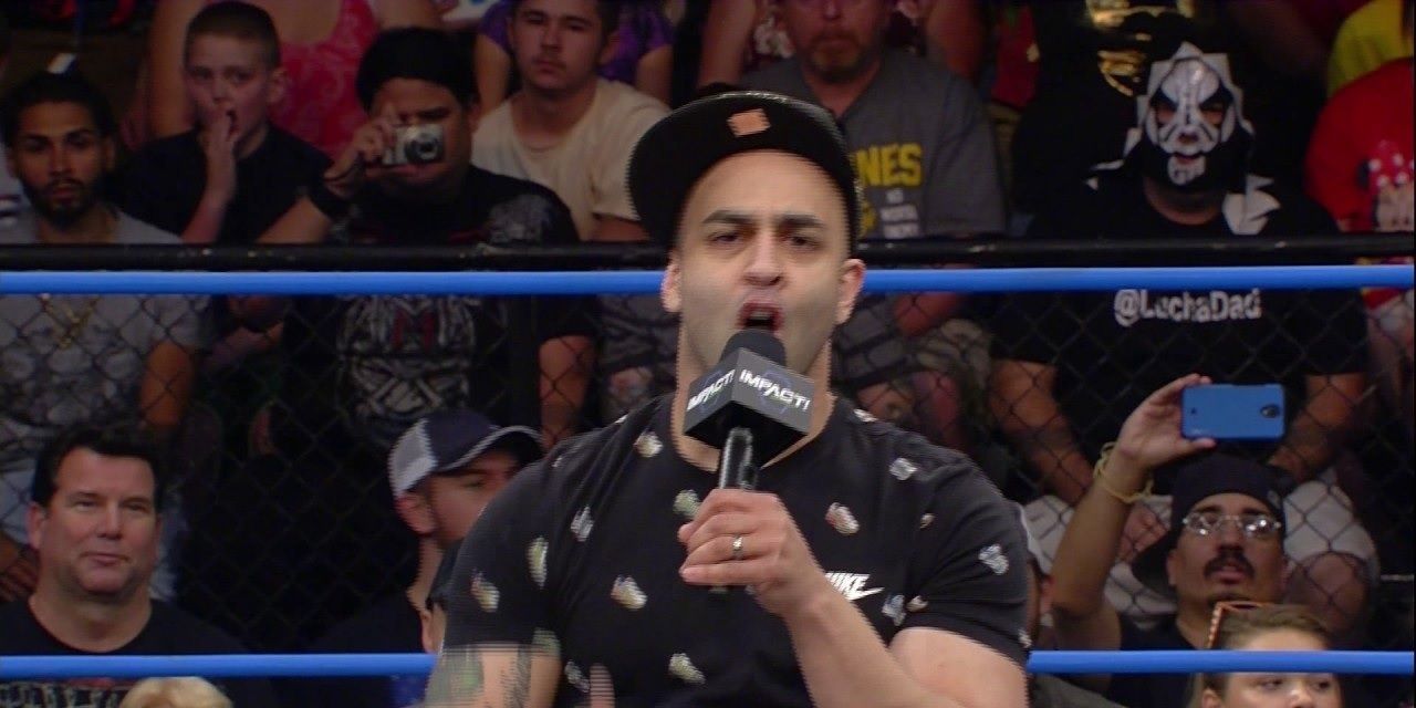 10 Best High-Flying Wrestlers In Impact Wrestling History, Ranked
