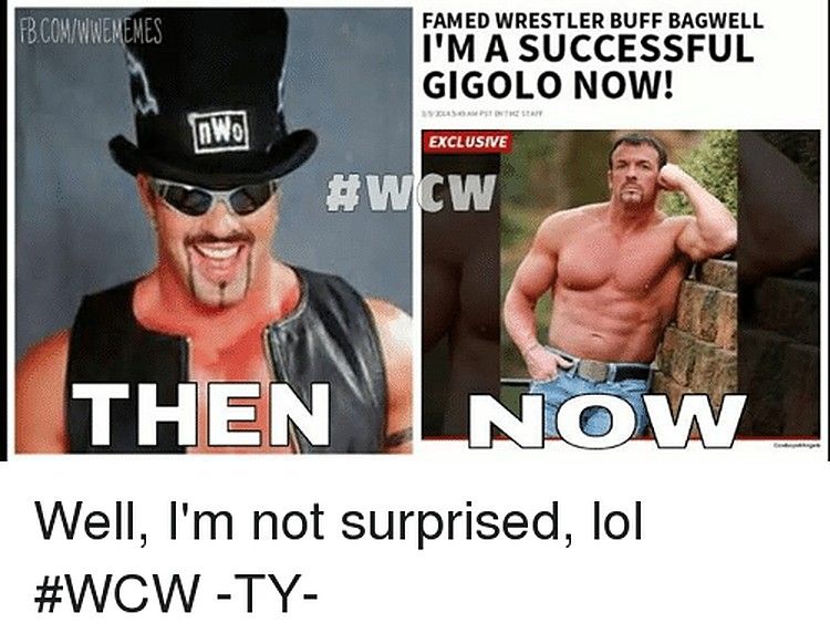 Too Sweet! 10 Hilarious nWo Memes