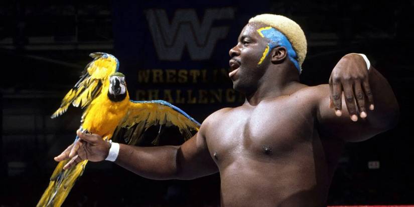 5 Best Wrestling Face Paint Of The 1980s (& 5 Worst)