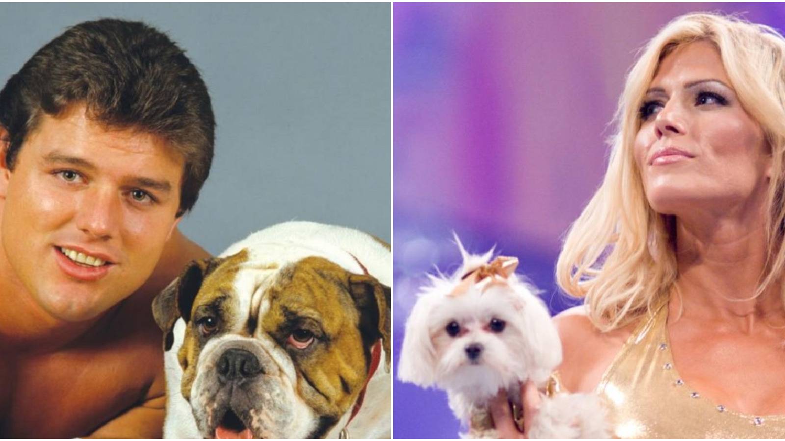10 Best Animals In WWE History, Ranked