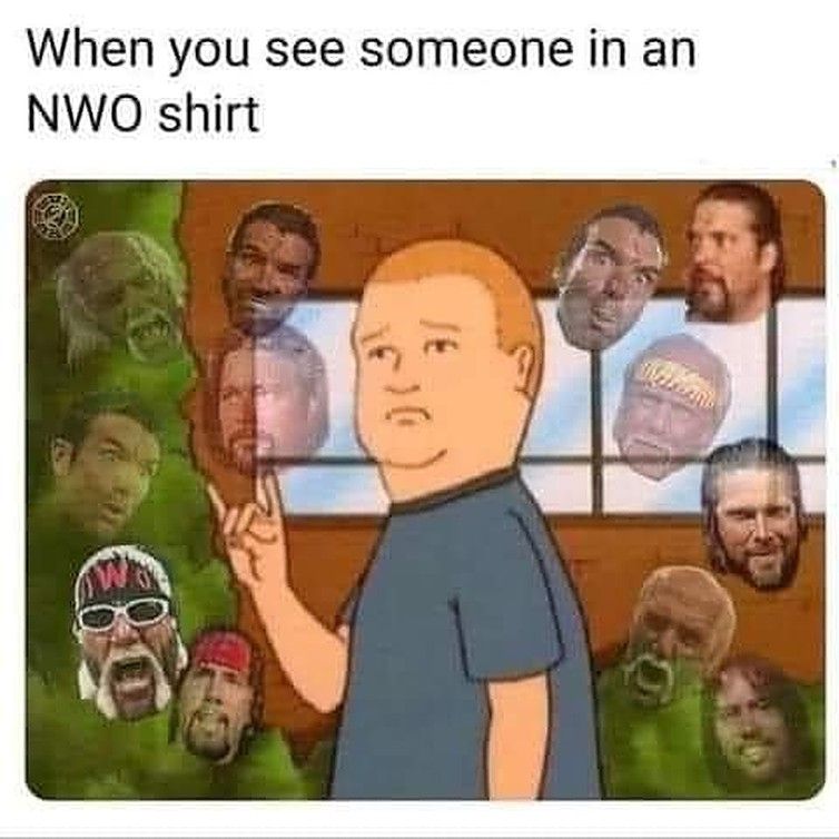 Too Sweet! 10 Hilarious nWo Memes