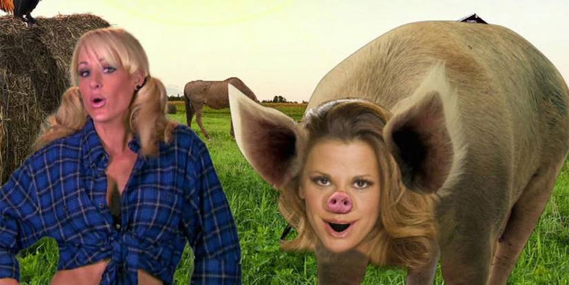 Every Version Of Mickie James, Ranked Worst To Best