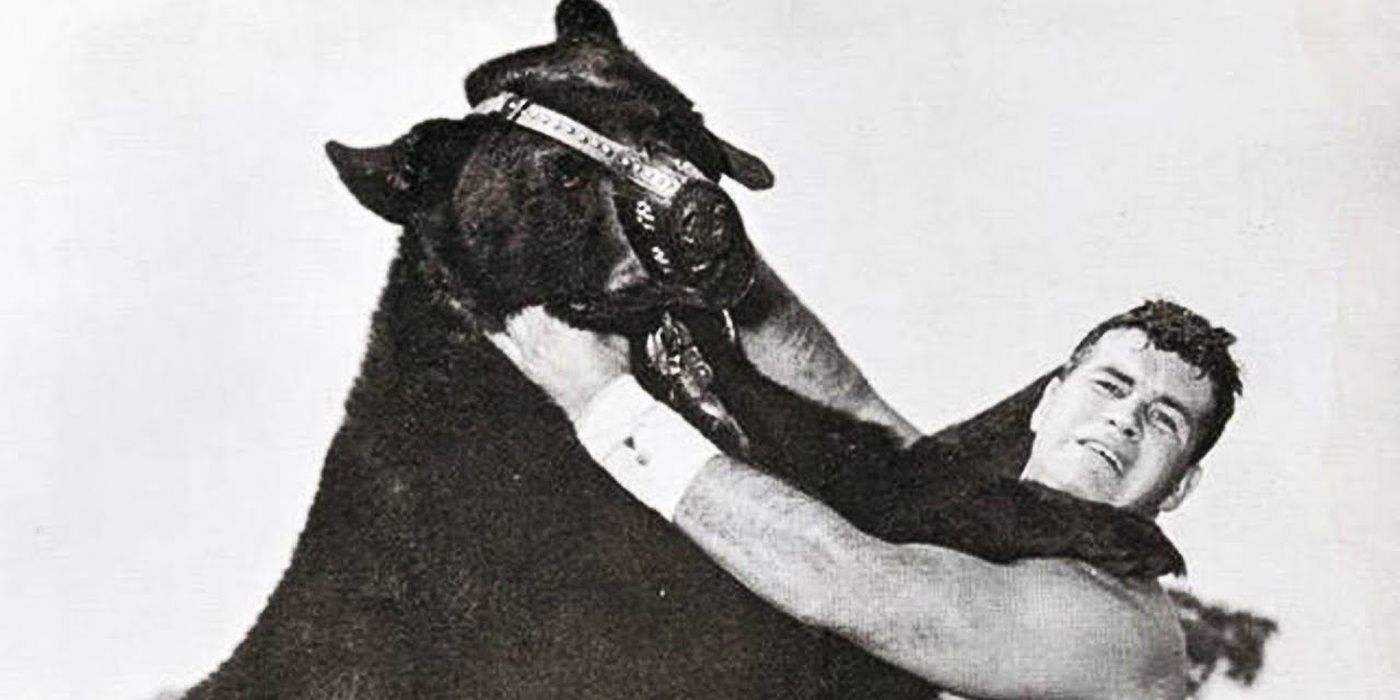 10 Backstage Stories About The Hart Family We Can't Believe