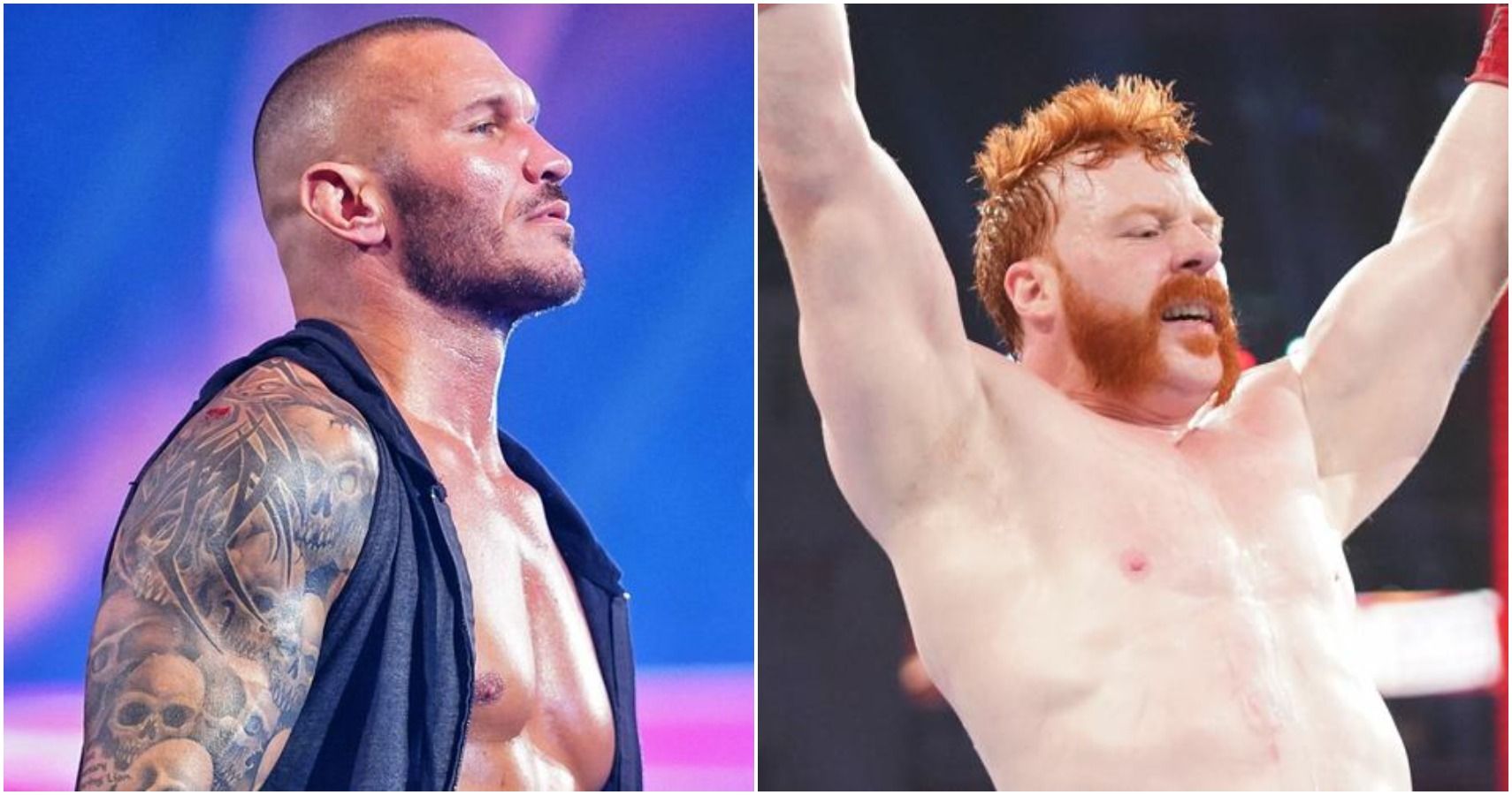 Randy Orton Responds To Sheamus' Open Challenge For United States ...