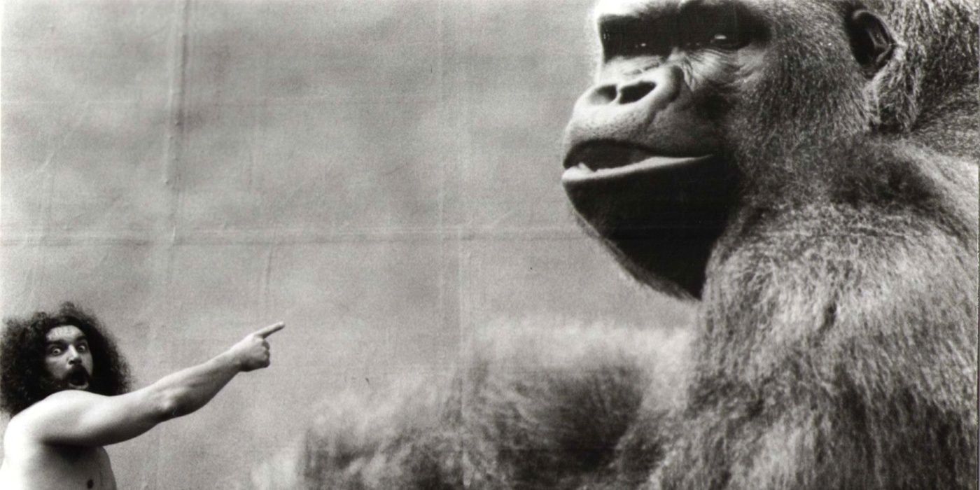 Bruiser Brody's Age, Cause Of Death, Weight & More To Know