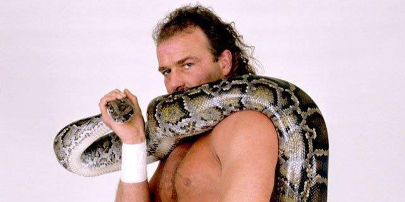 WWE Most Wanted Treasures: Jake The Snake Roberts Recap