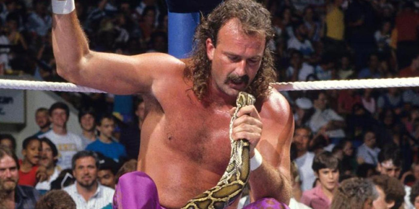 WWE Most Wanted Treasures: Jake The Snake Roberts Recap