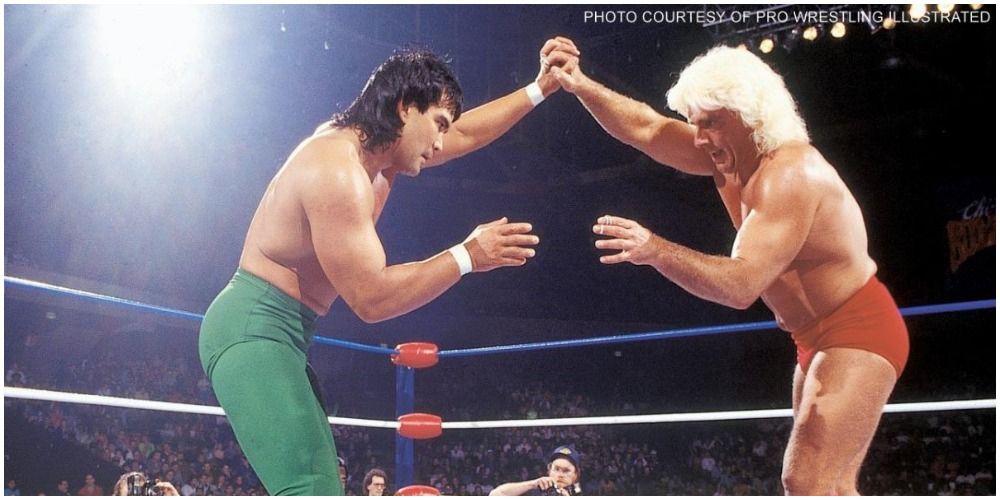 The 10 Best WCW Title Matches, According To Cagematch.net