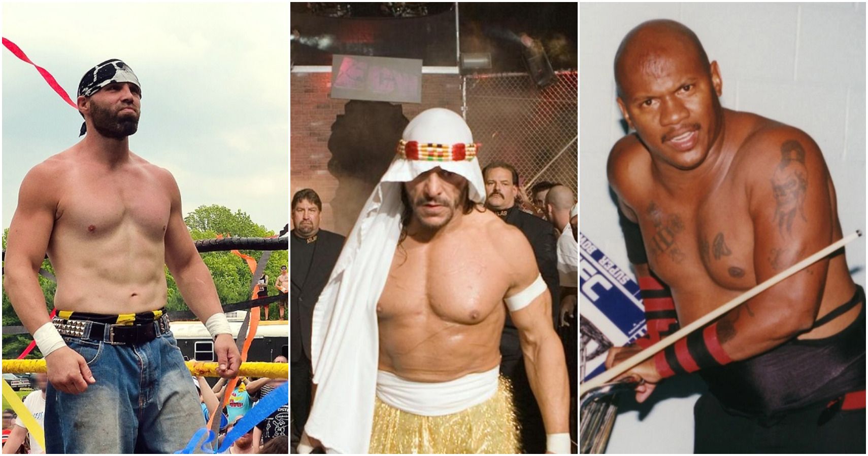 10 Different Types Of Pro Wrestling (& What Makes Them Special)
