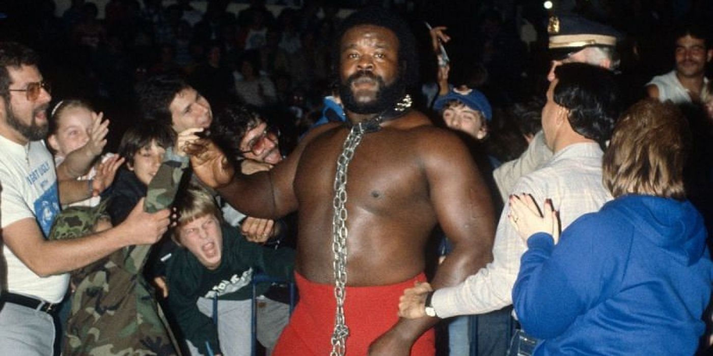 5 Best Tag Team Partners Of Andre The Giant's Career (& 5 Worst)