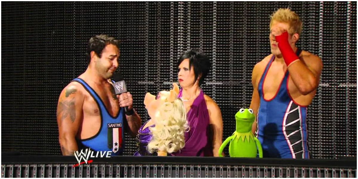 10 Celebrities In Wrestling That Nobody Wanted To See