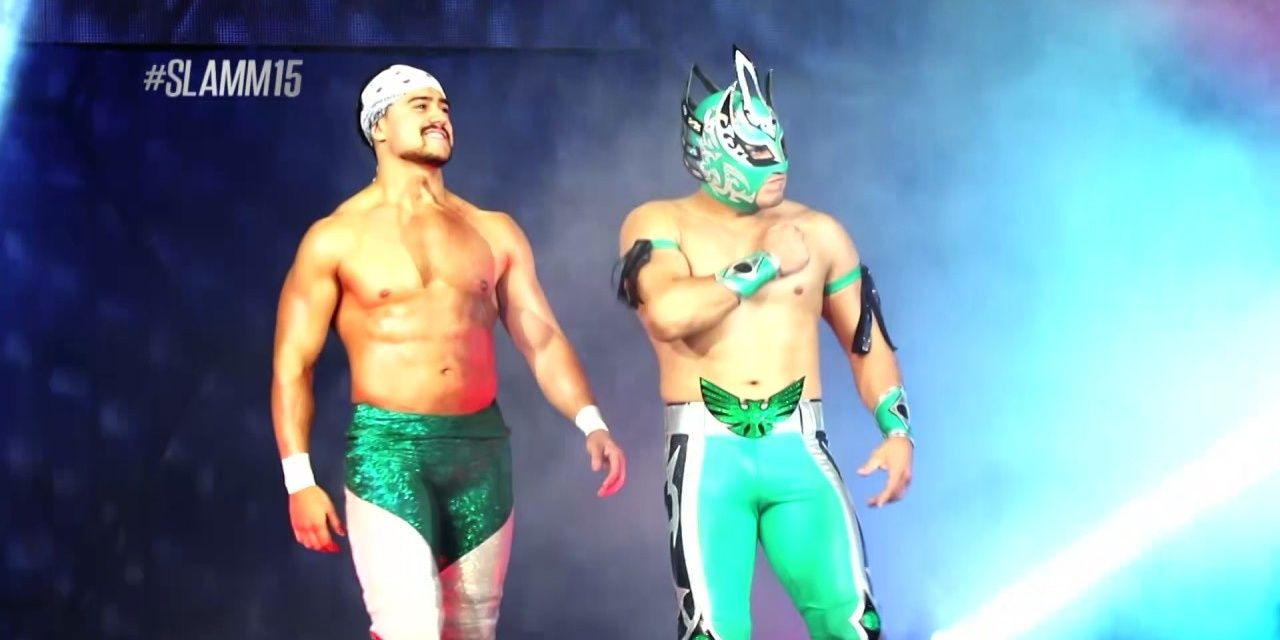 10 Current WWE Stars: What Did They Look Like In TNA?