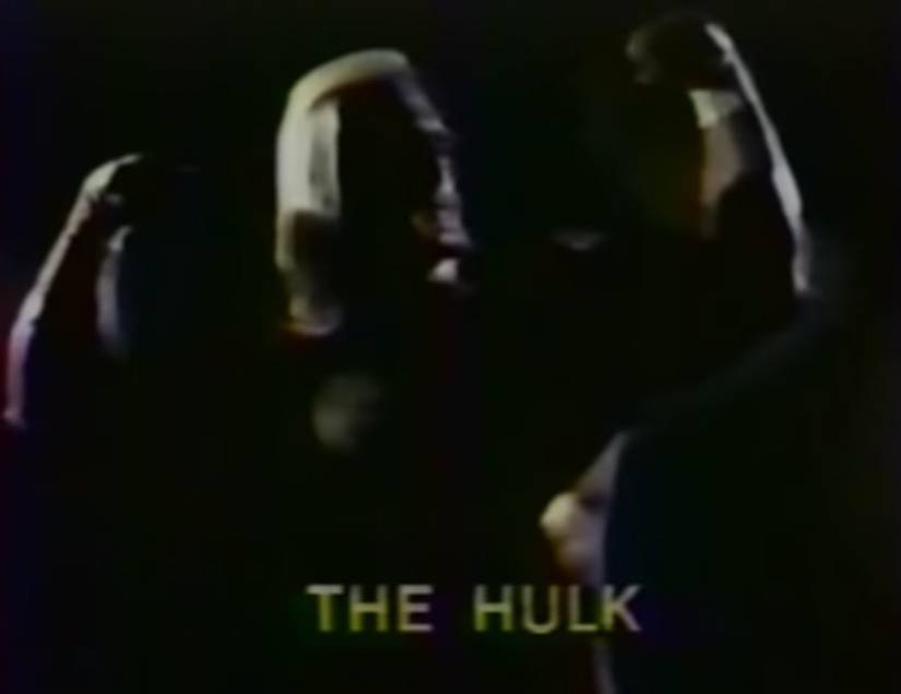 10 Facts Fans Should Know About Hulk Hogan's Career Before WWE