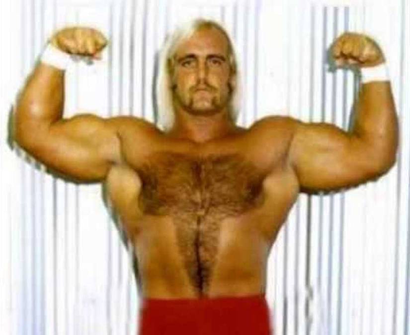 10 Facts Fans Should Know About Hulk Hogan's Career Before WWE