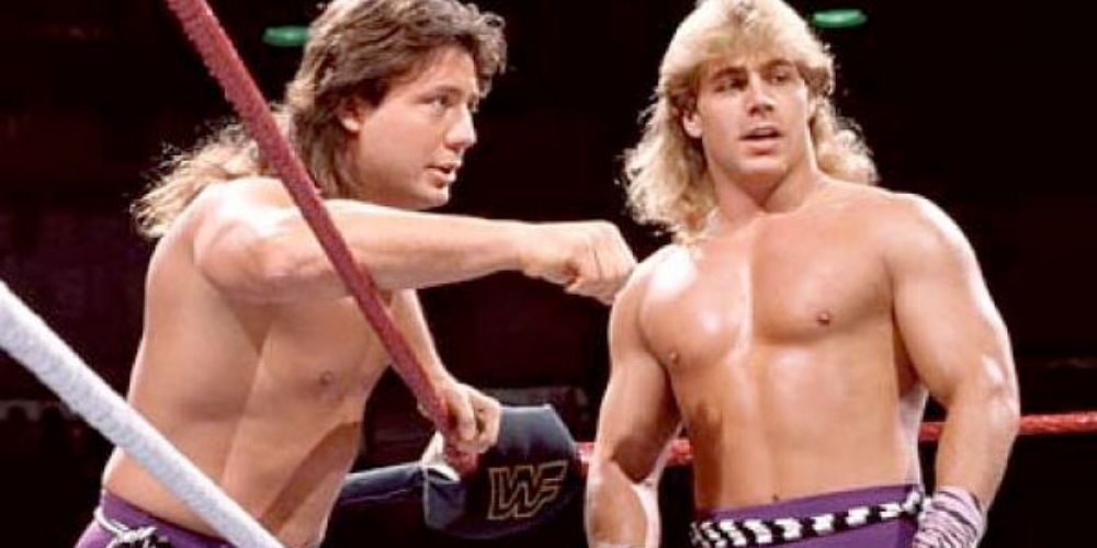 9 Amazing Tag Teams In Wrestling History (& Their Biggest Weaknesses)