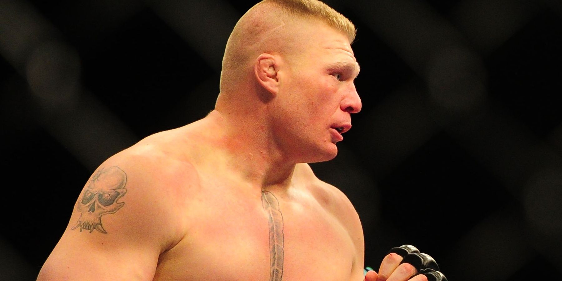 10 Things You Didn't Know About Brock Lesnar's UFC Career