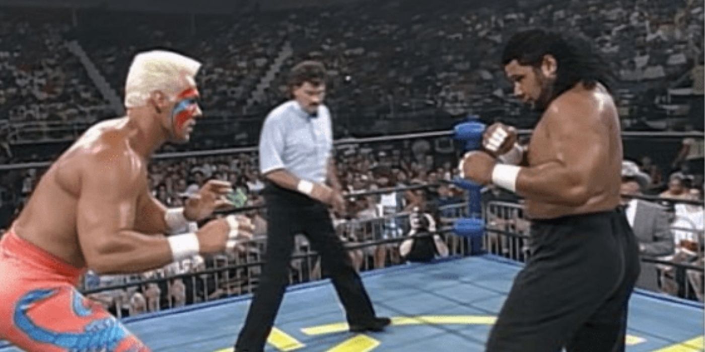 10 Wrestlers We Can't Believe Defeated Sting In A Singles Match
