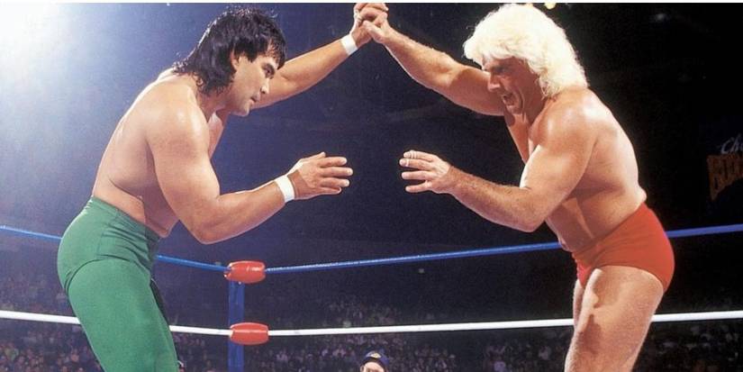 Ric Flair: Top 10 Wrestlers He's Teamed With The Most