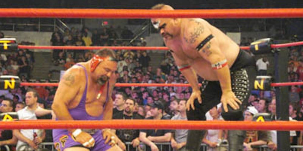 10 Things You Didn't Know About The Steiner Brothers