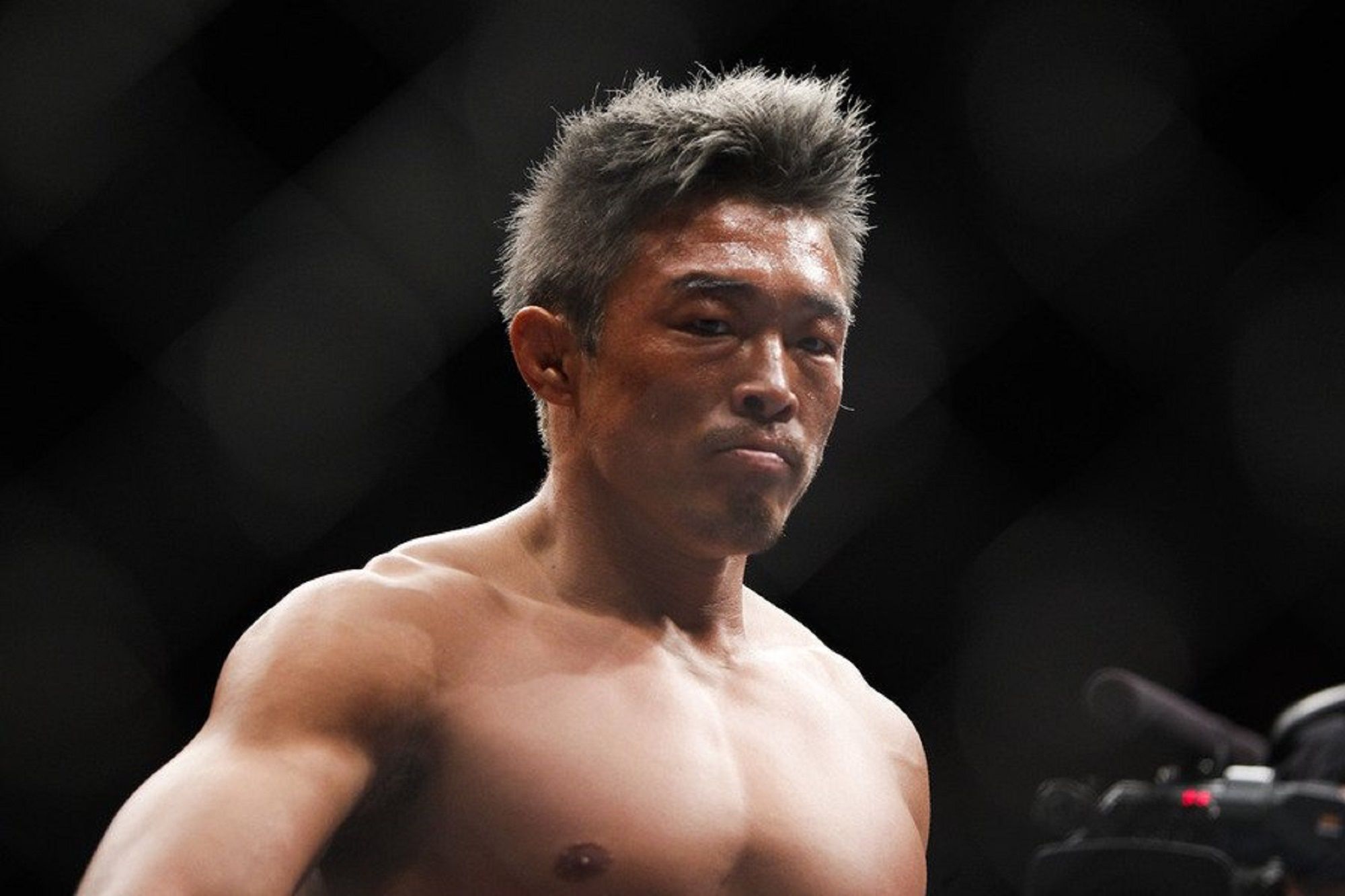 10 Best Japanese UFC Fighters, Ranked