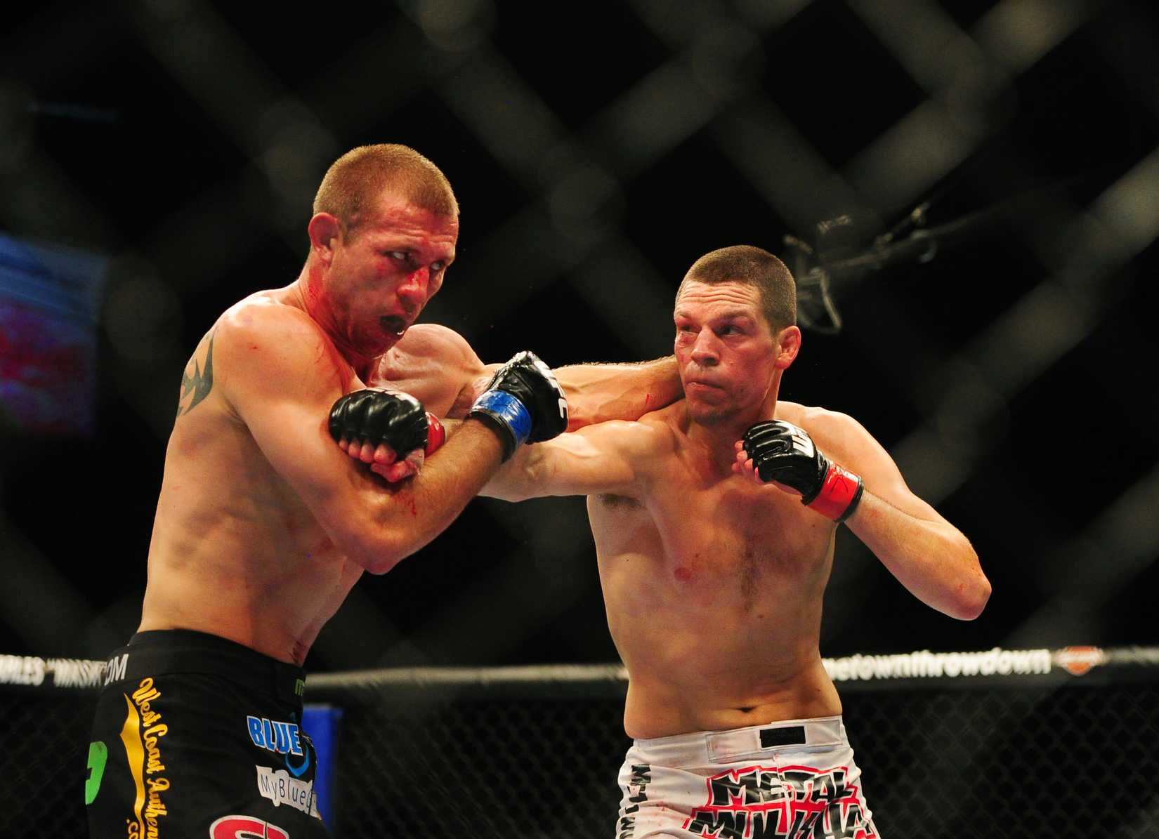 UFC Fighters With The Most Significant Strikes Landed In A Single Fight