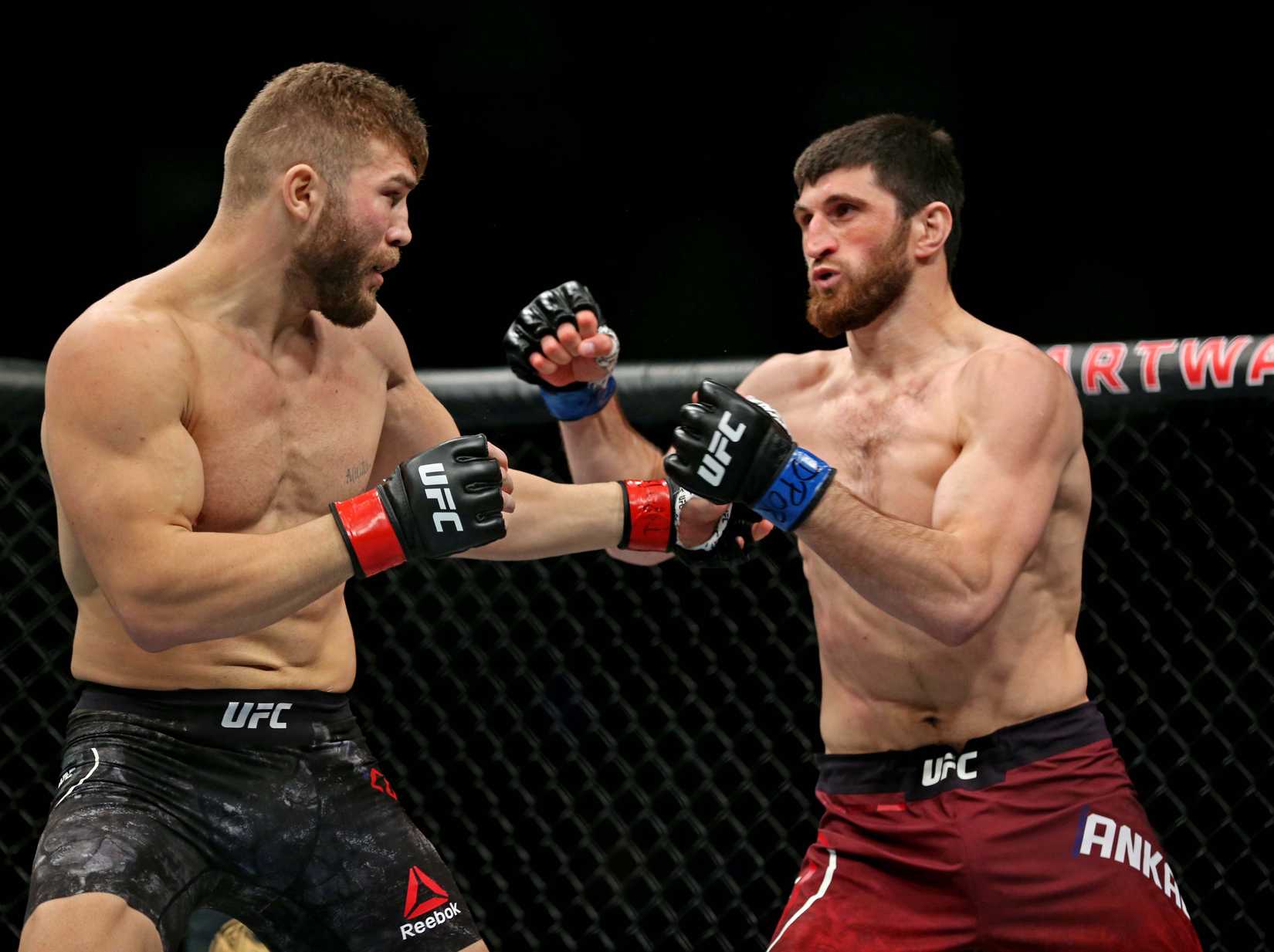 10 Fights MMA Fans Feel Were Stopped Too Early