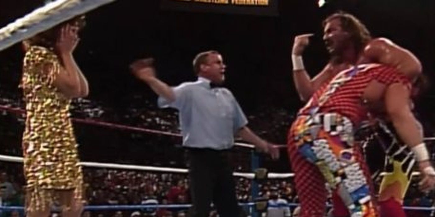 The Randy Savage Vs. Jake Roberts WWE Feud Would Have Fit Perfectly In ...