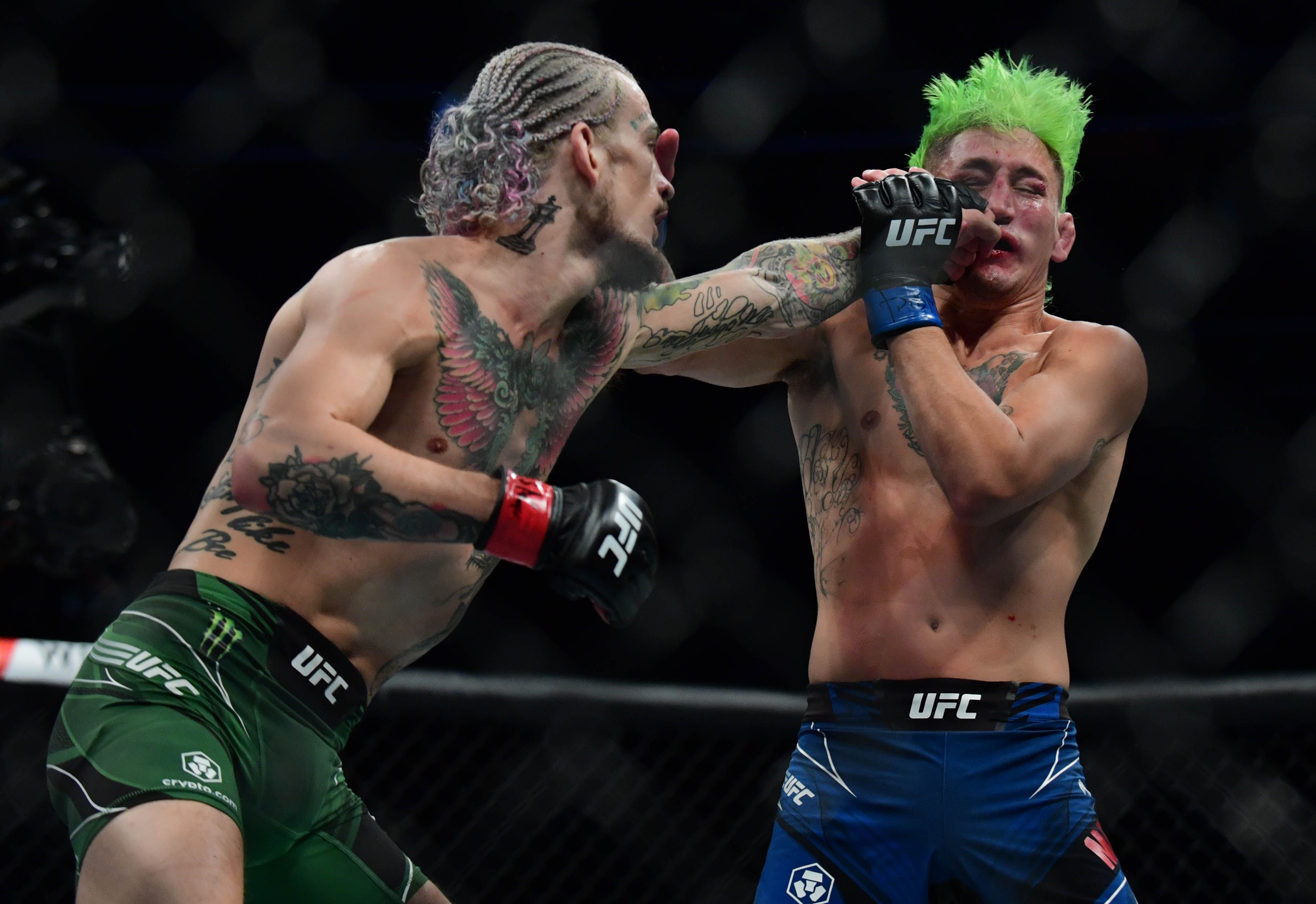 UFC Fighters With The Most Significant Strikes Landed In A Single Fight