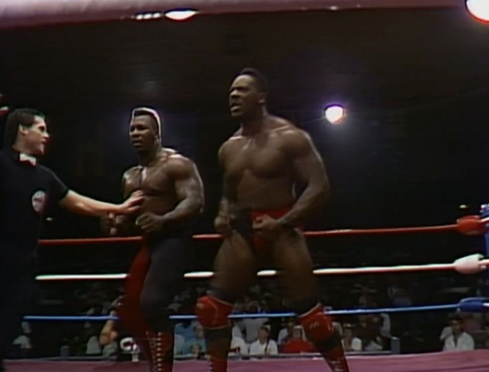10 Things Fans Should Know About WCW's Harlem Heat Tag Team
