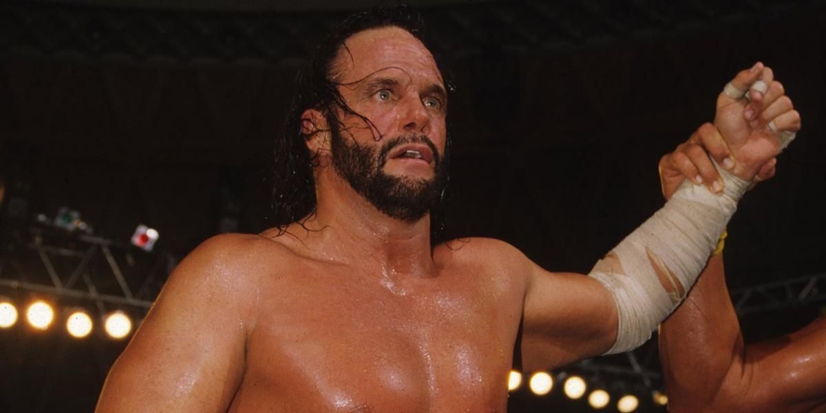 Randy Savage's WCW PPV Matches, Ranked From Worst To Best