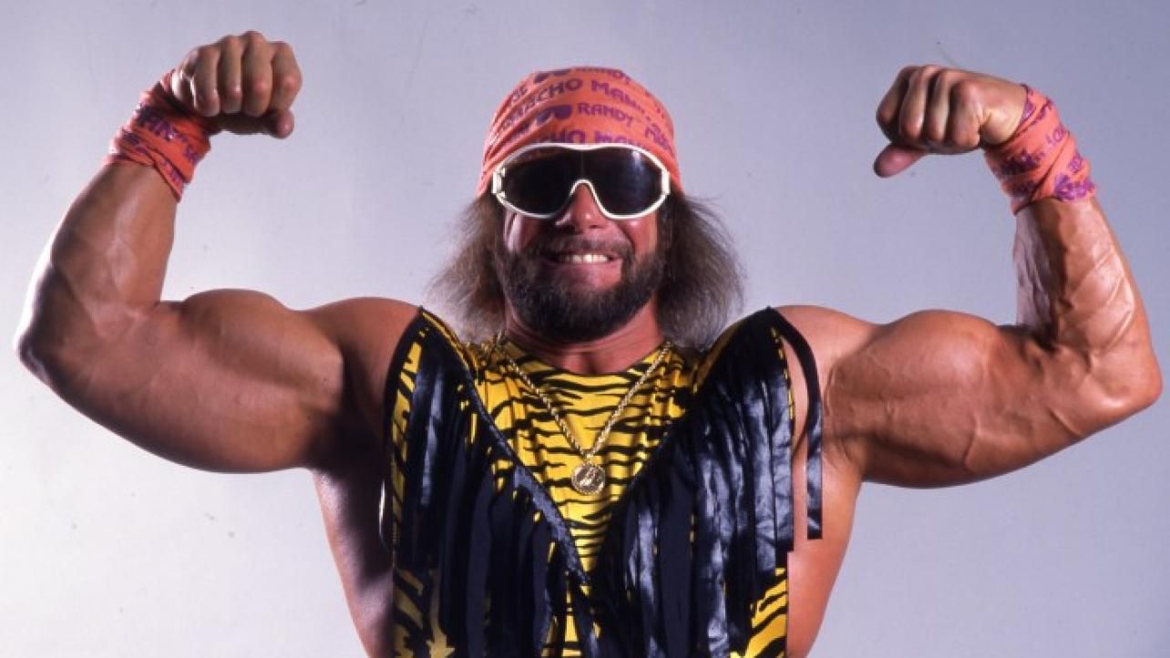 Wrestlers From The 1980s That Would And Wouldn't Thrive In WWE Today