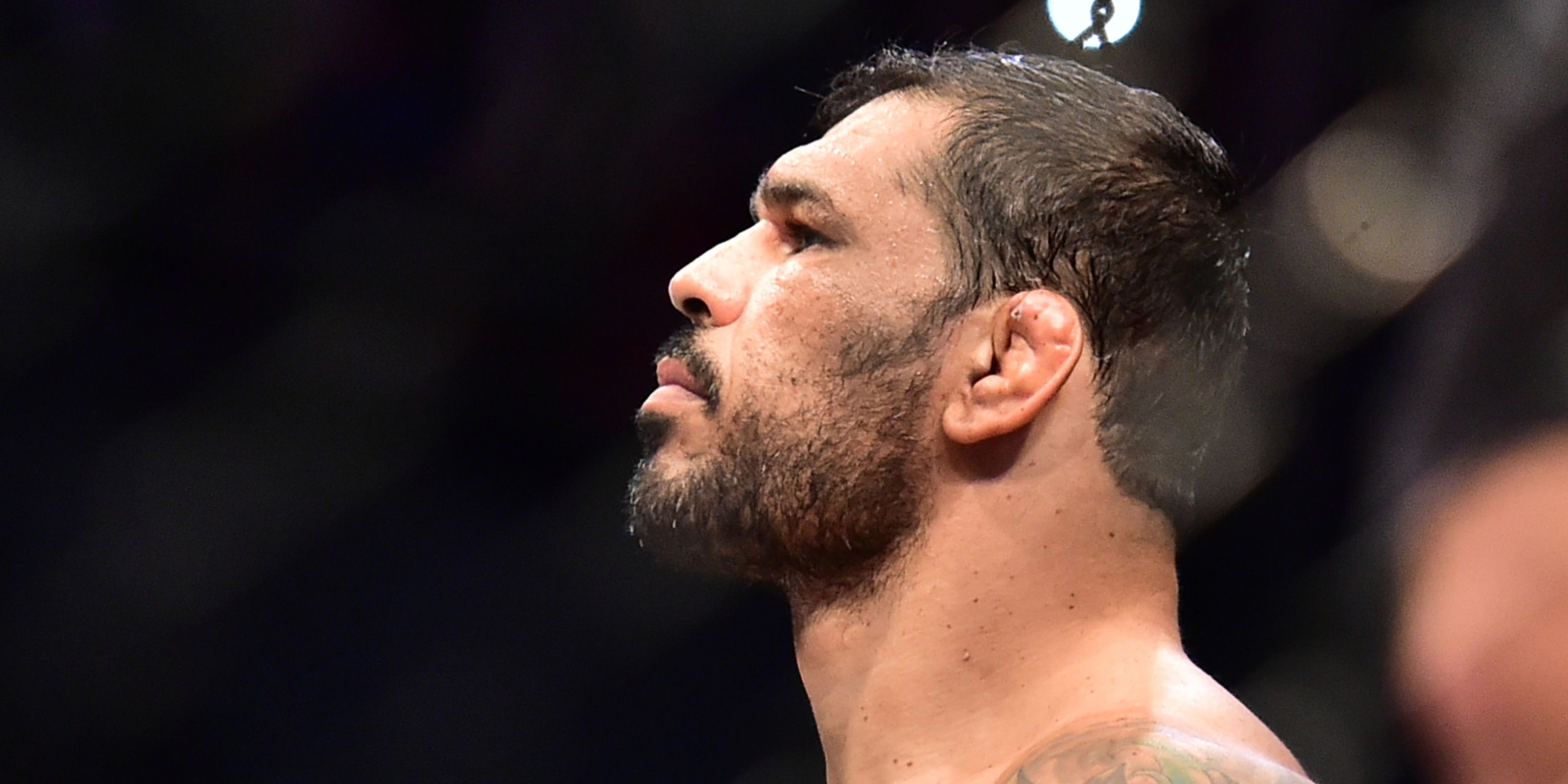Rodrigo & Rogerio: 10 Things MMA Fans Should Know About The Nogueira ...