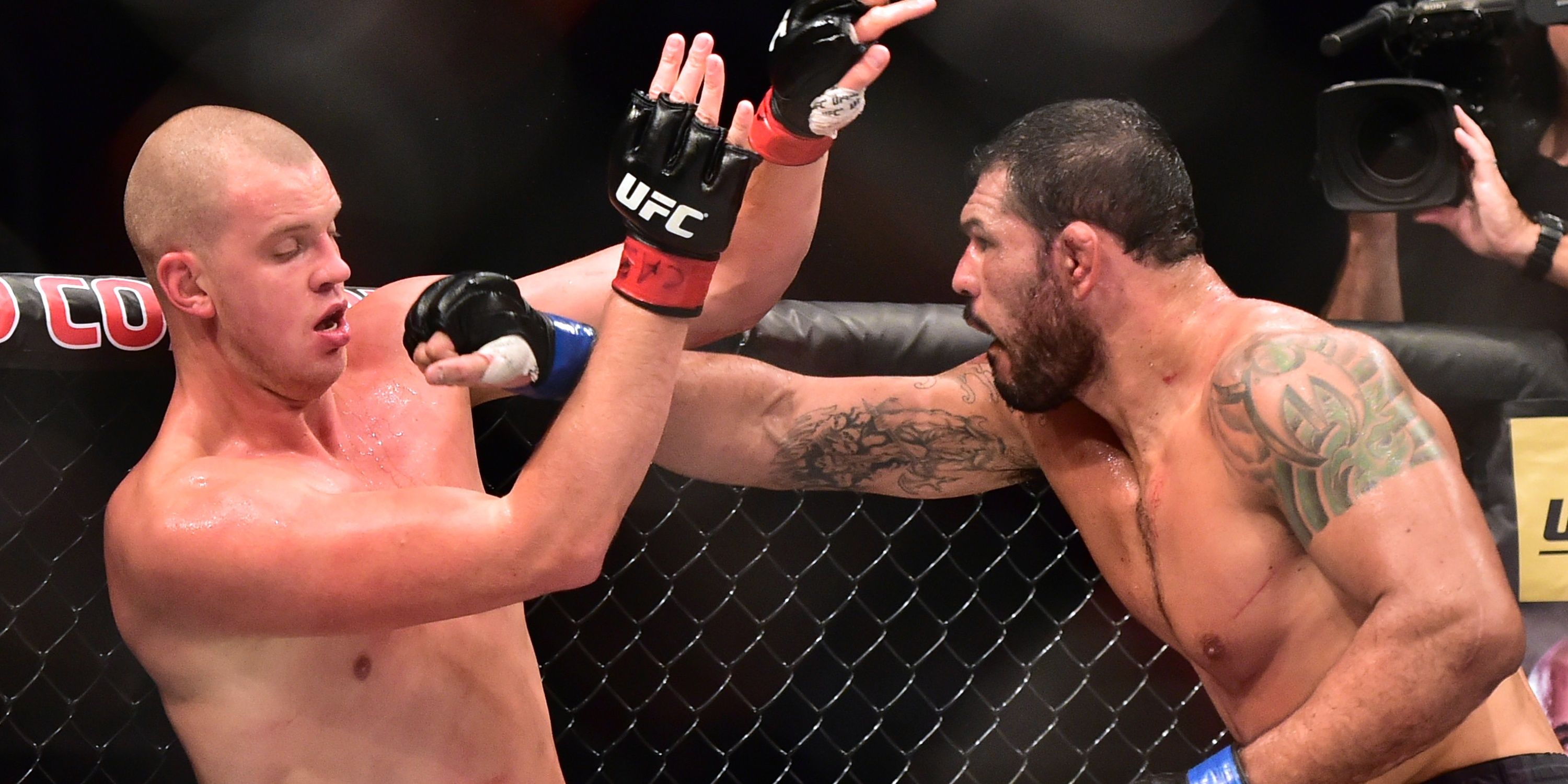 Rodrigo & Rogerio: 10 Things MMA Fans Should Know About The Nogueira ...