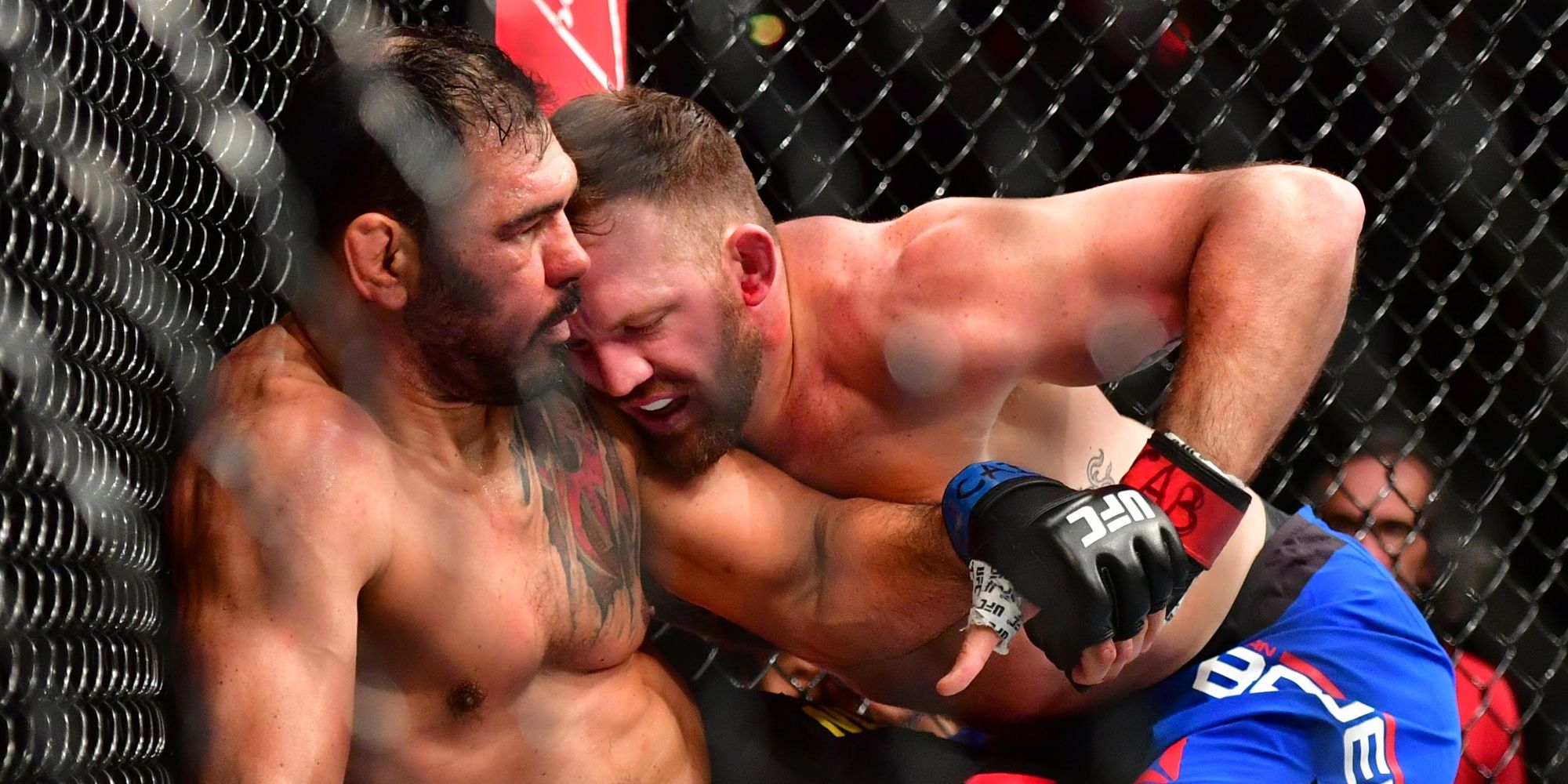 Rodrigo & Rogerio: 10 Things MMA Fans Should Know About The Nogueira ...