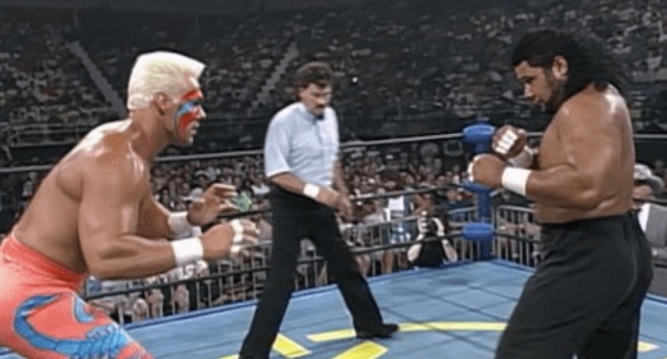 Matches You Forgot Sting Competed In