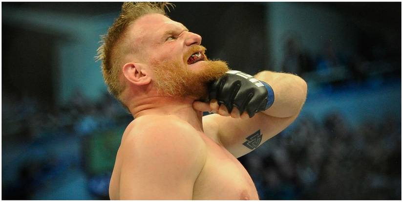 20 Best Heavyweights In MMA History, Ranked