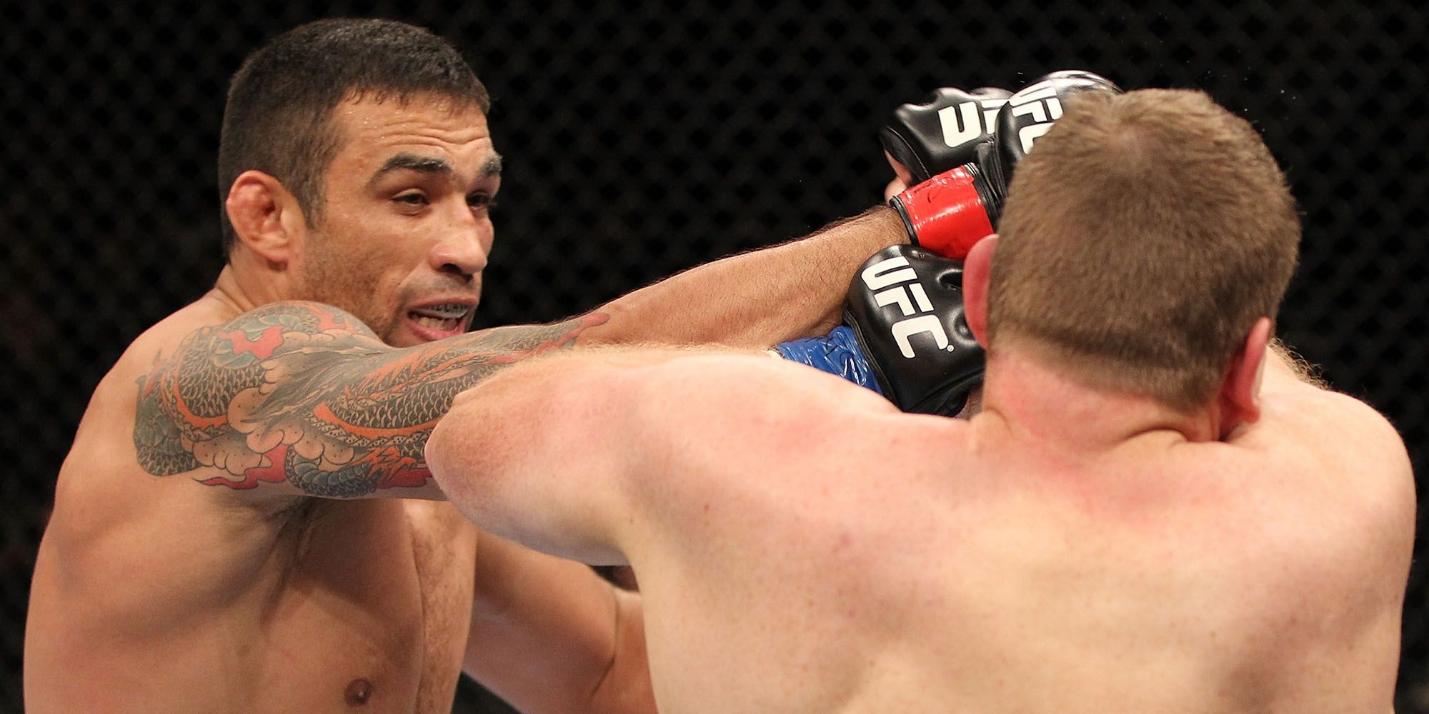 10 Things UFC Fans Should Know About Fabricio Werdum