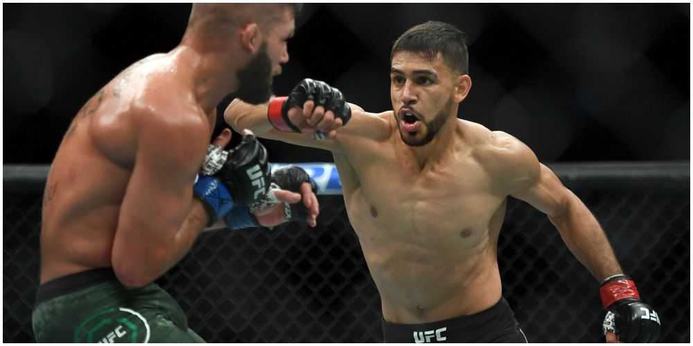 10 Best UFC Featherweights Of All Time, Ranked