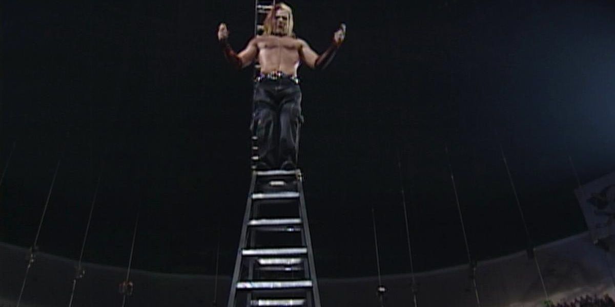 10 Things About Ladder Matches That Don't Make Sense