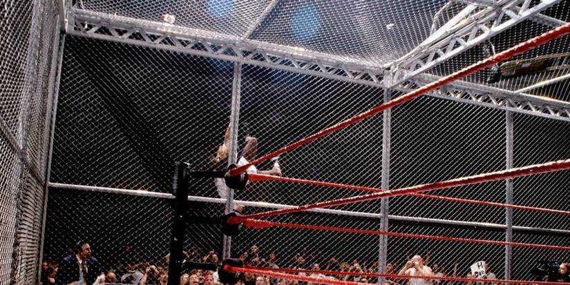 Why Mick Foley Jumped Off The Hell In A Cell In WWE, Explained
