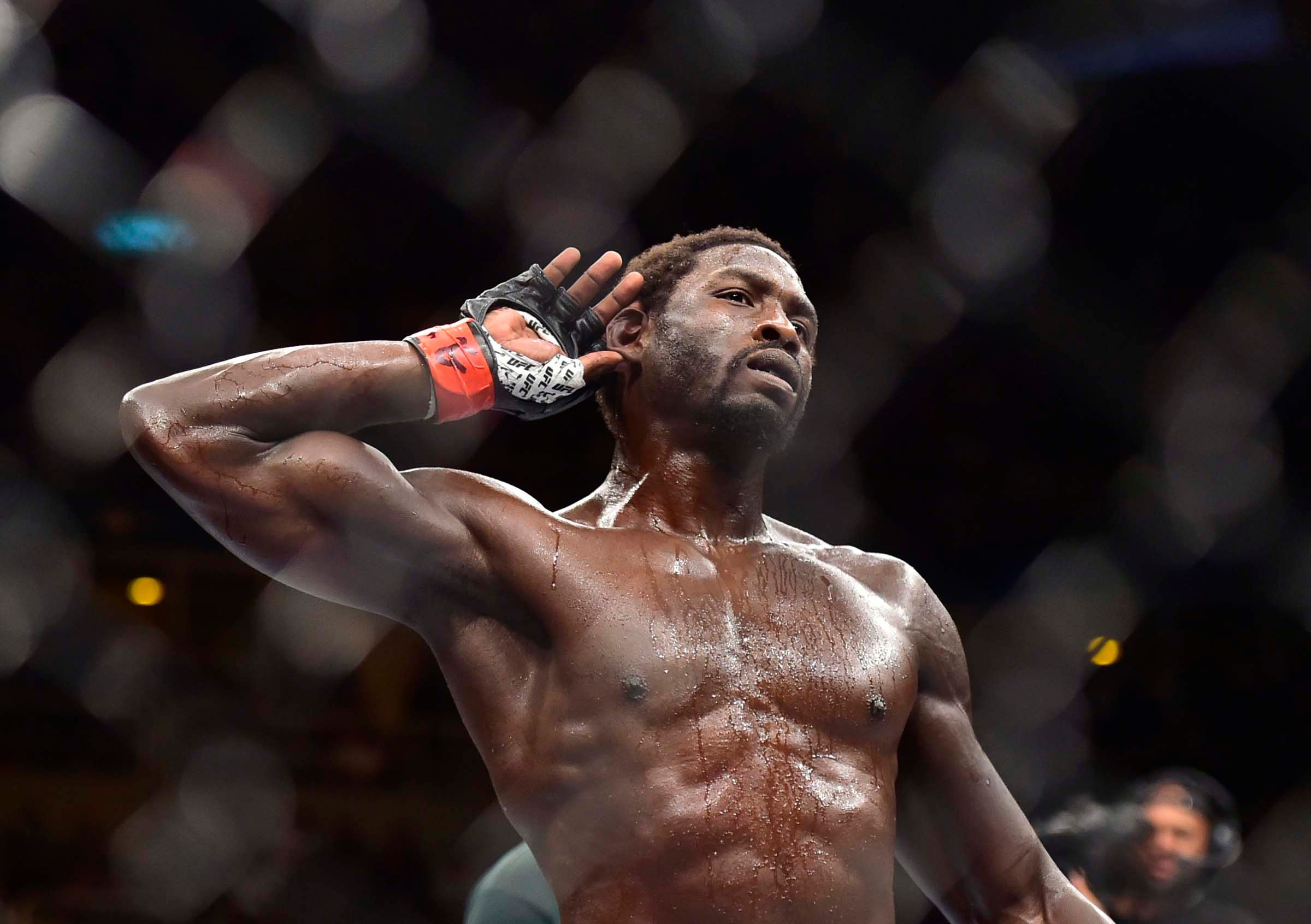10 Times Fans Loudly Booed An MMA Fighter During A Fight