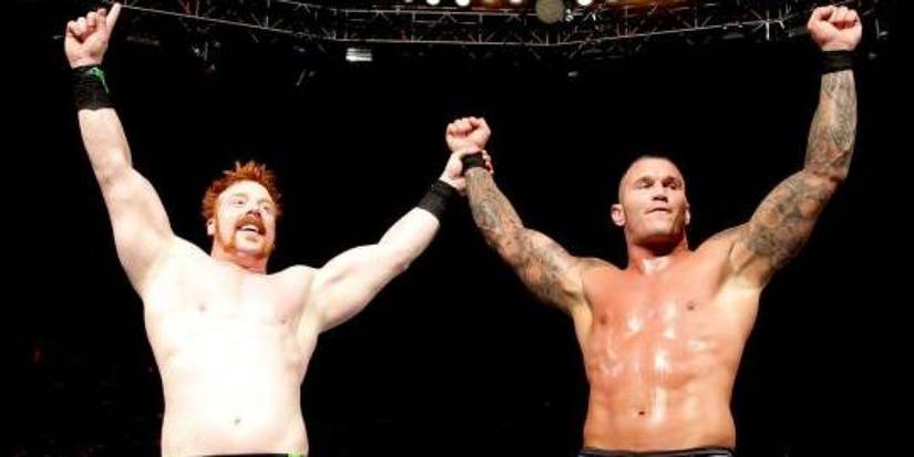 5 Best Tag Team Partners Of Randy Orton's Career (& The 5 Worst)