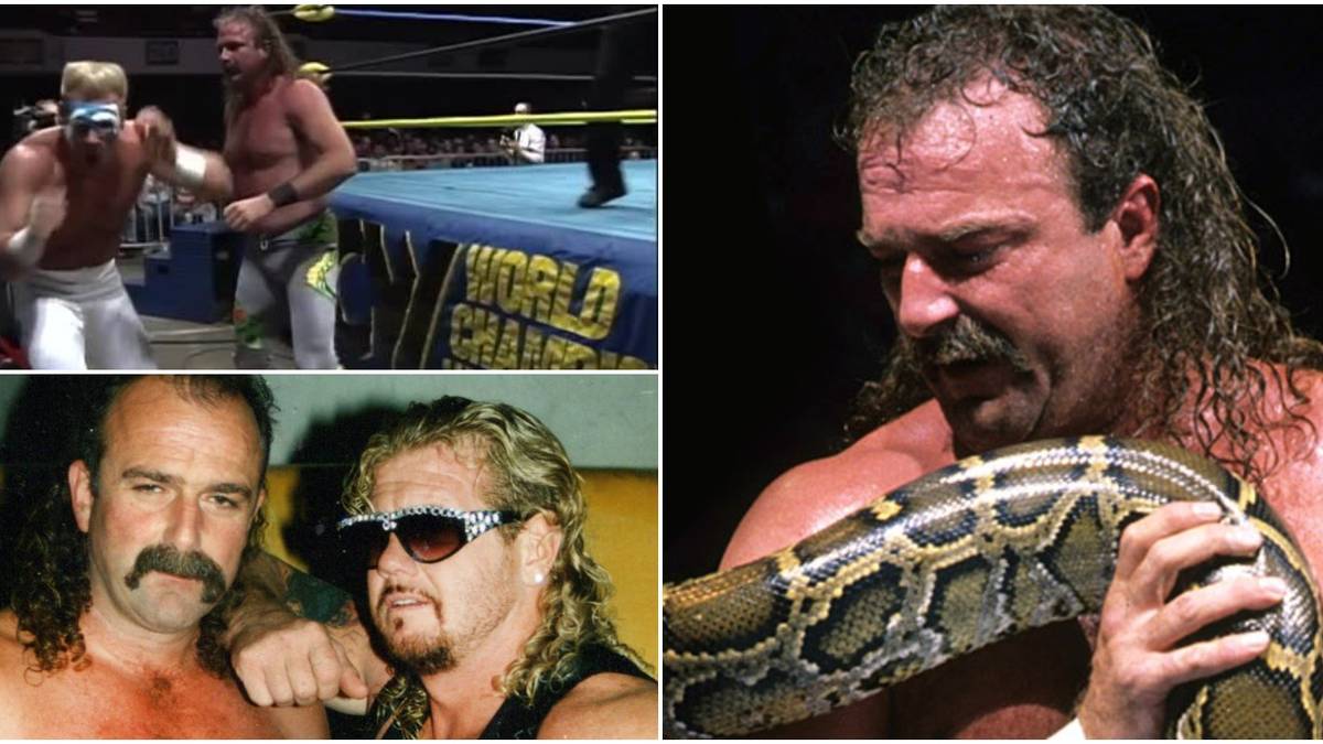 10 Things Fans Forget About Jake Roberts' WCW Career