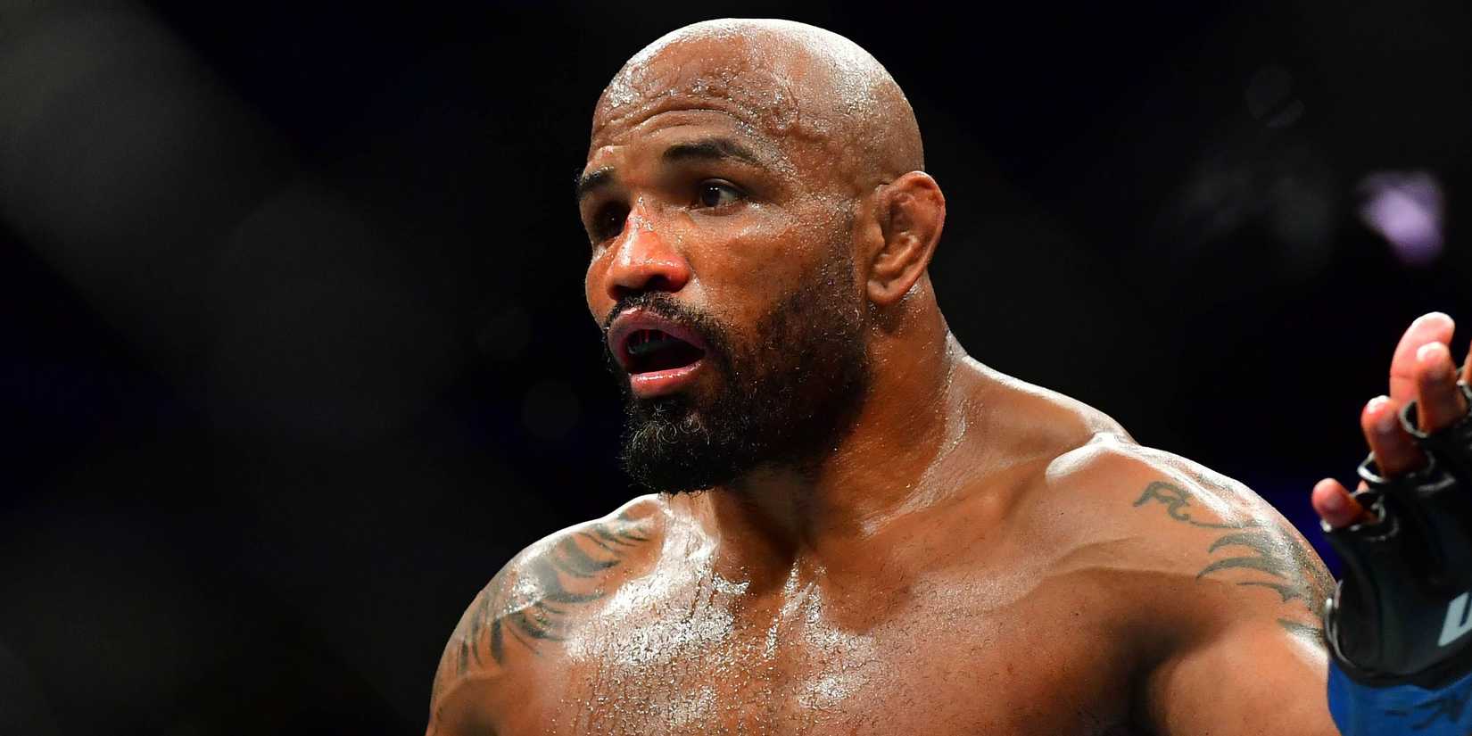 19 Strongest Fighters In MMA History